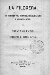 La Filoxera, su descripción, vida, costumbres, propagación, daños y ...